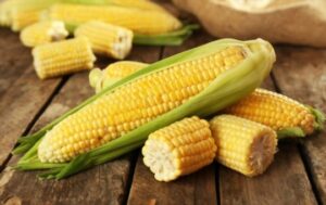 How Long Does Corn On The Cob Last? Does it Go Bad?