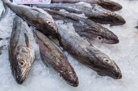 What Does Hake Taste Like? Exploring the Flavor