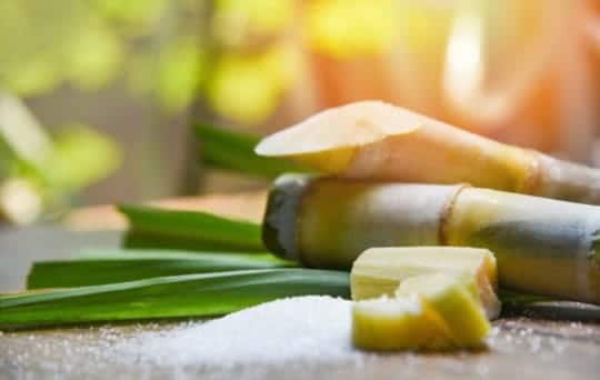 What Does Sugar Cane Taste Like? Exploring the Flavor