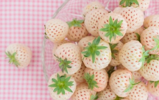 What Do White Strawberries Taste Like? Exploring the Flavor